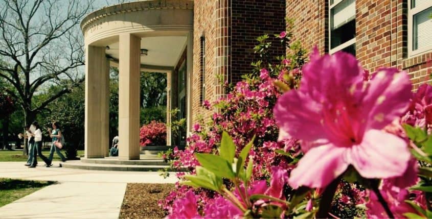 Southeastern Louisiana University Rankings, Tuition, Acceptance Rate, etc.