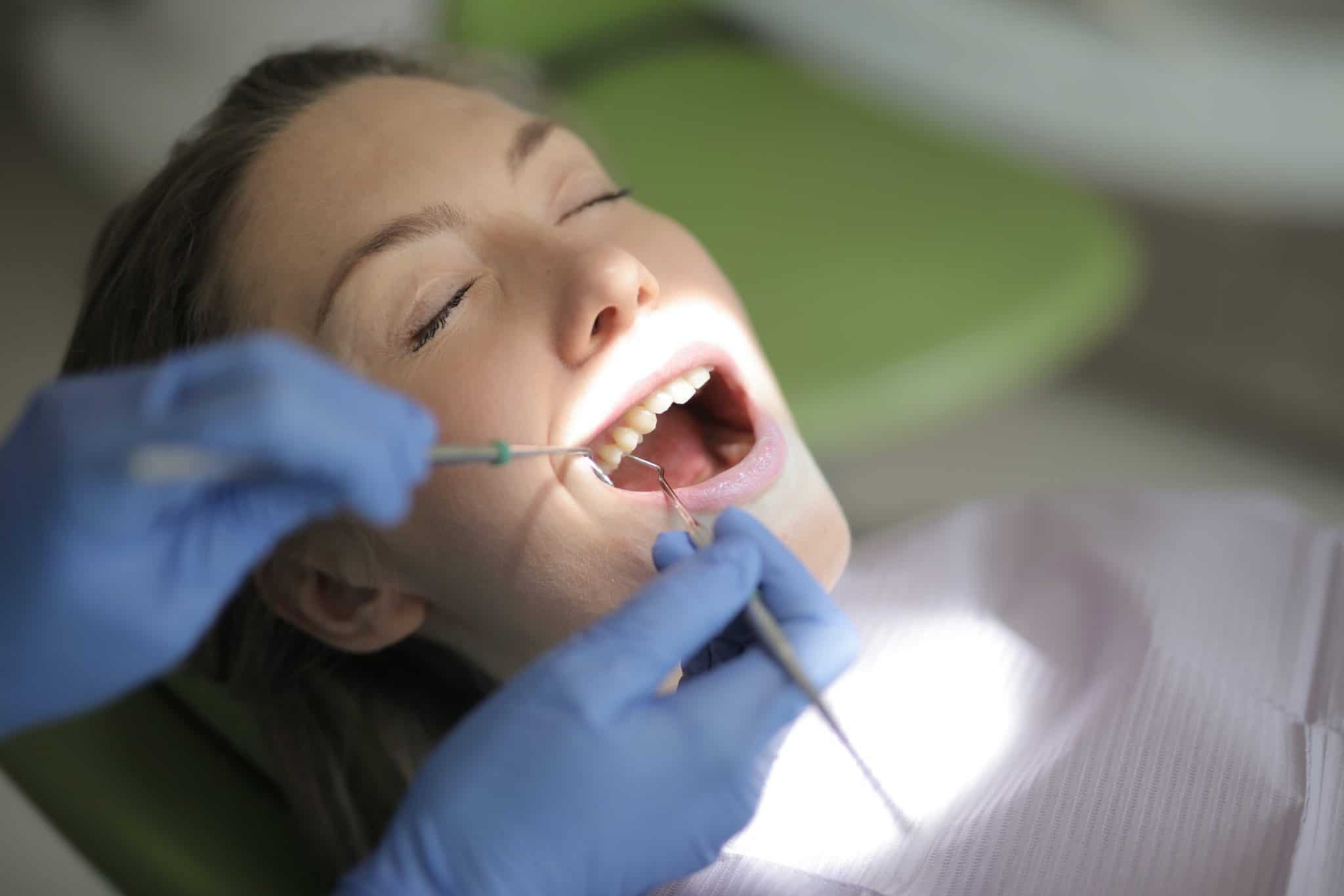 10 Best Degrees for a Career in Dentistry | What to study if you want ...