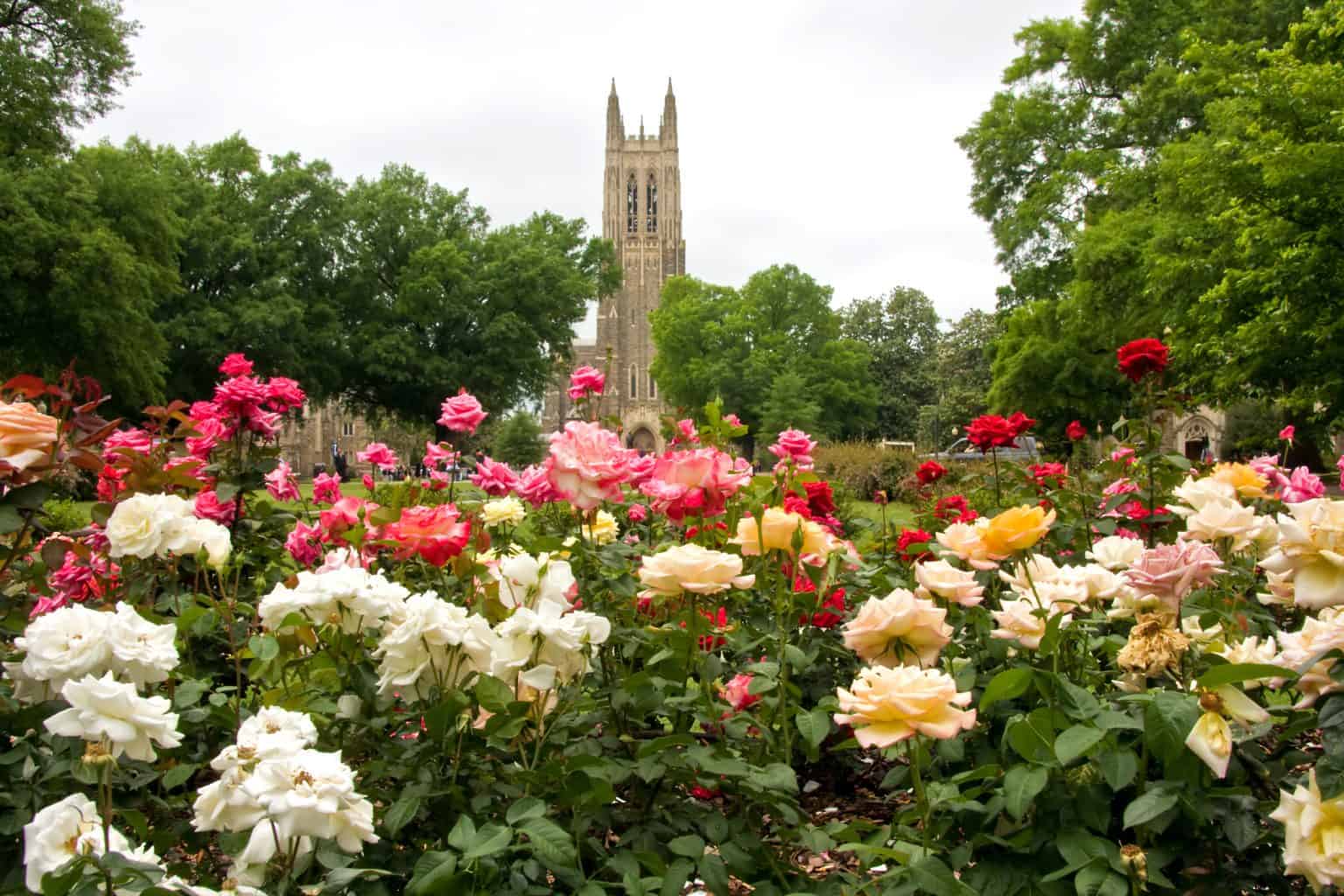 Ohio State University-Main Campus | Traditional School